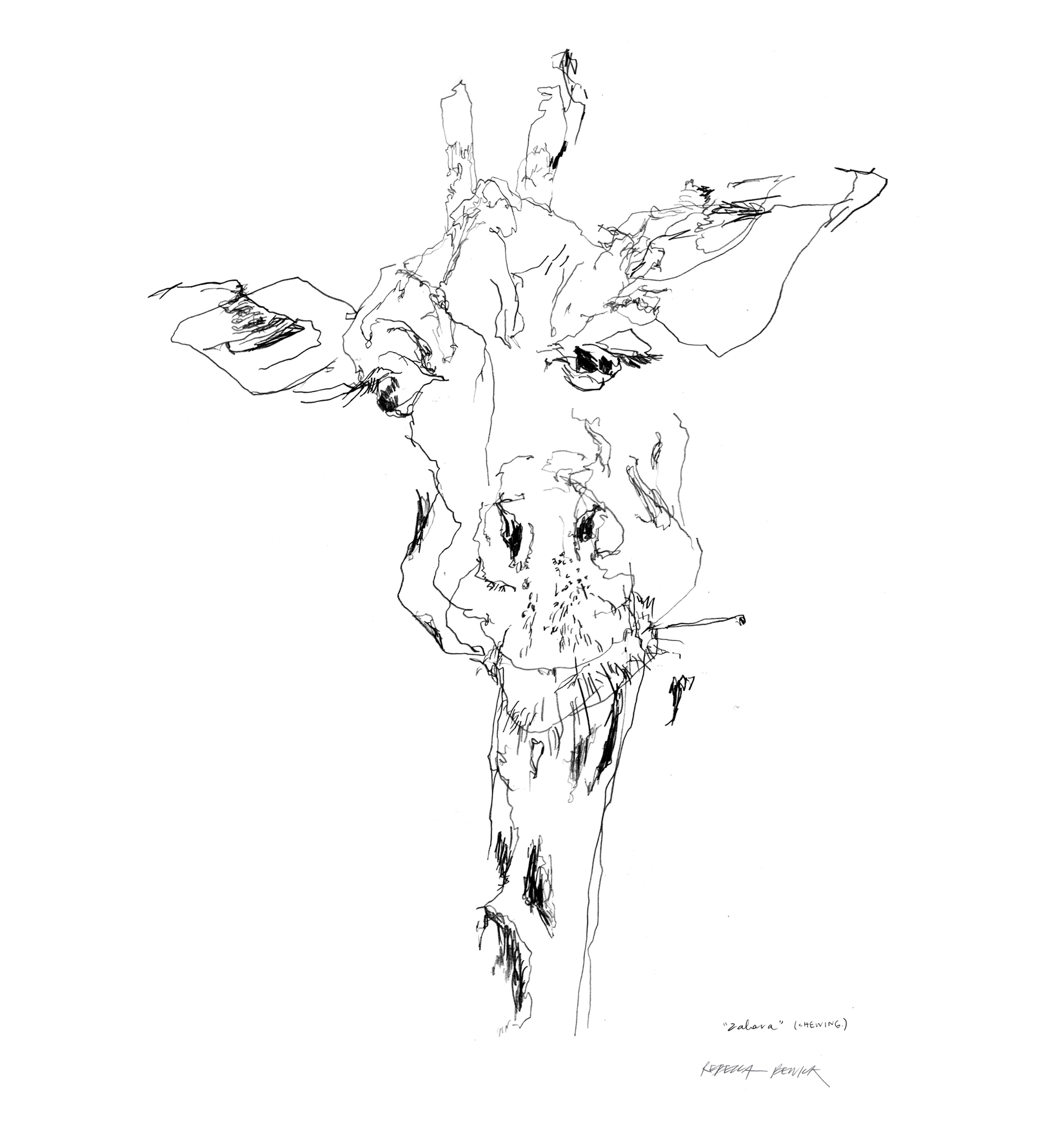 drawing studies – REBECCA BEWICK | DIGITAL SCULPTOR