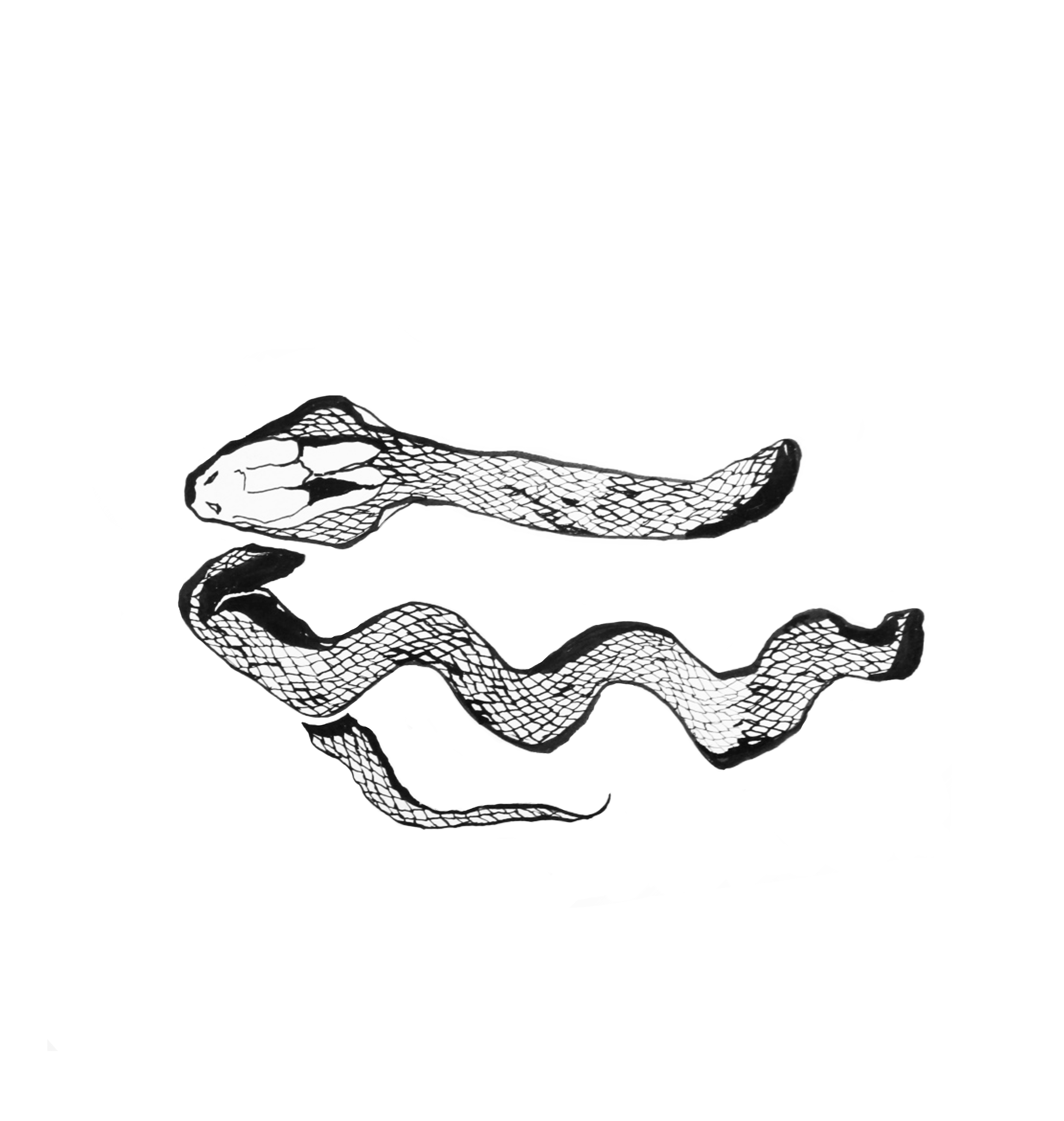 drawing studies – REBECCA BEWICK | DIGITAL SCULPTOR